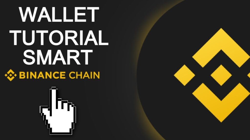 Guía Completa sobre Binance Smart Wallet (Binance Wallet) – Carlos Maiz